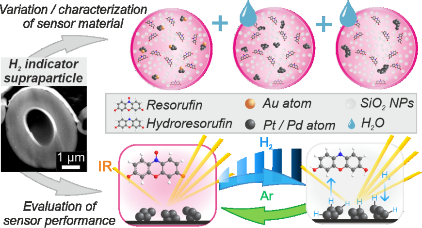 New article accepted - Department of Chemistry and Pharmacy
